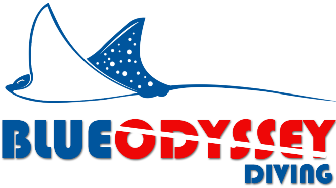 Contact-Us - Blue Odyssey Diving